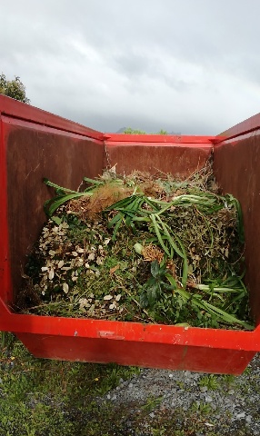 Thanks for using the Community Weed Bin! – Weed Action Native Habitat ...